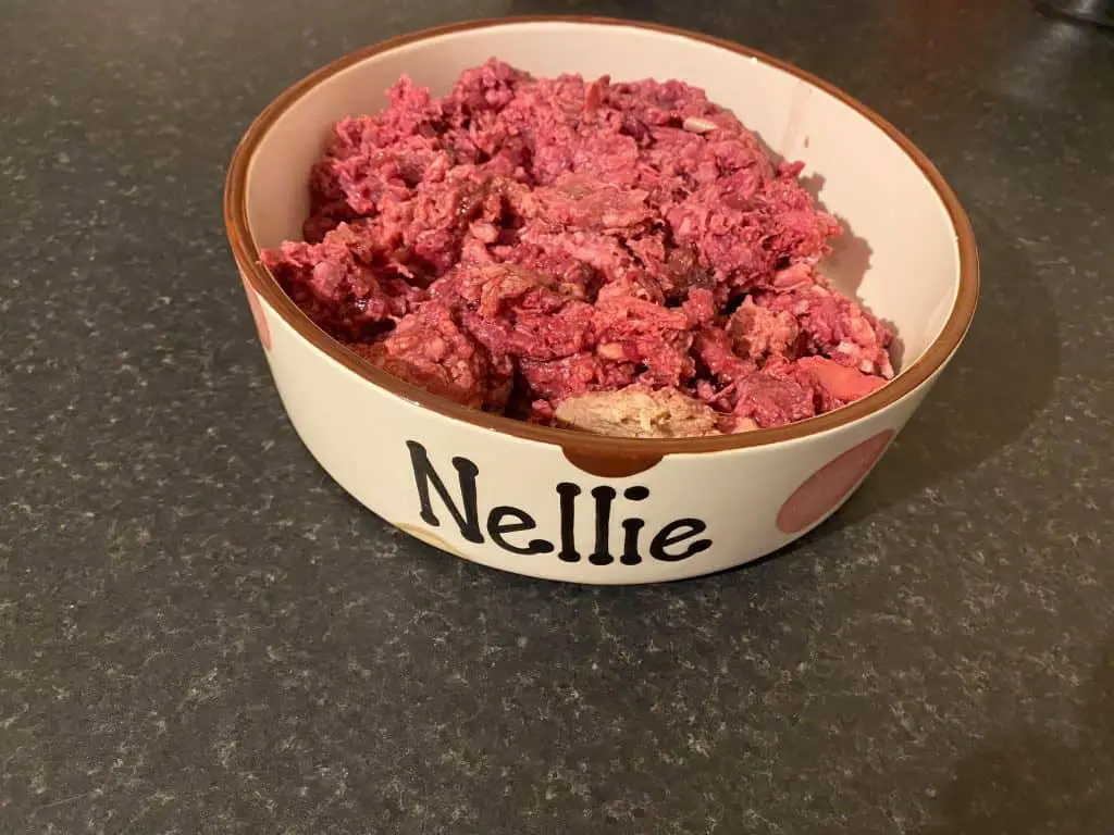 What is the Best Food for Doodles? Our Feeding Guide