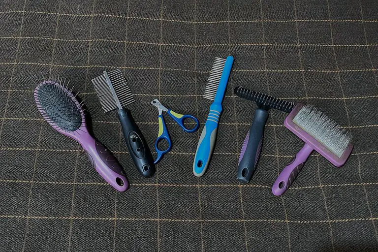 Best Brushes for Cavapoos: Grooming Tips