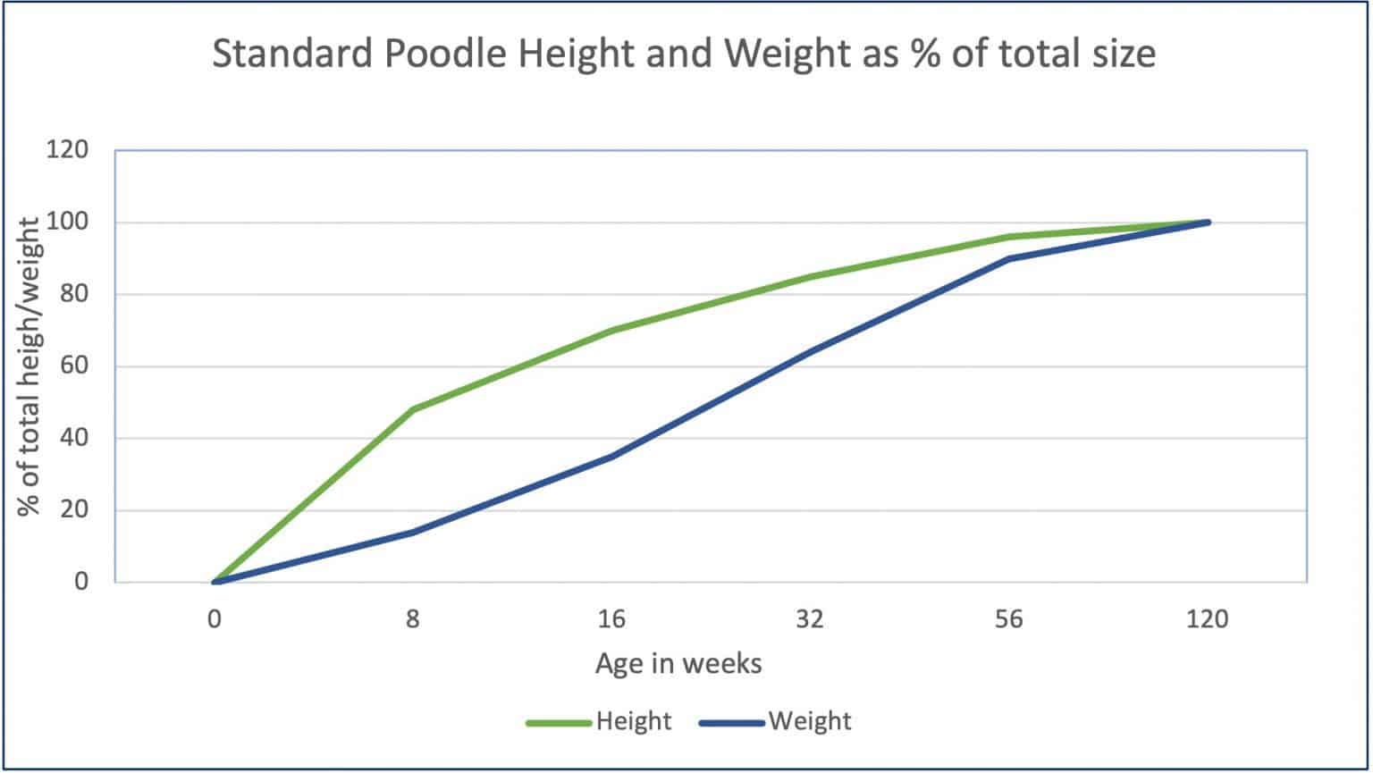 Standard Poodle Weight Chart by Age